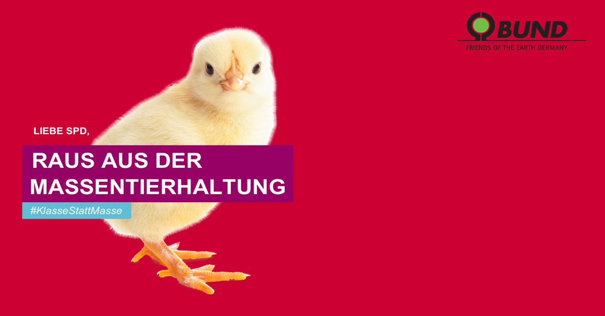 Raus aus der Massentierhaltung | BUND-Aktion Raus aus der Massentierhaltung | BUND-Aktion